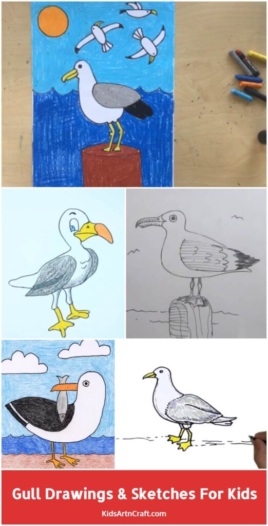Gull Drawing & Sketches For Kids - Kids Art & Craft