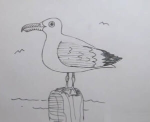 Gull Drawing & Sketches For Kids - Kids Art & Craft