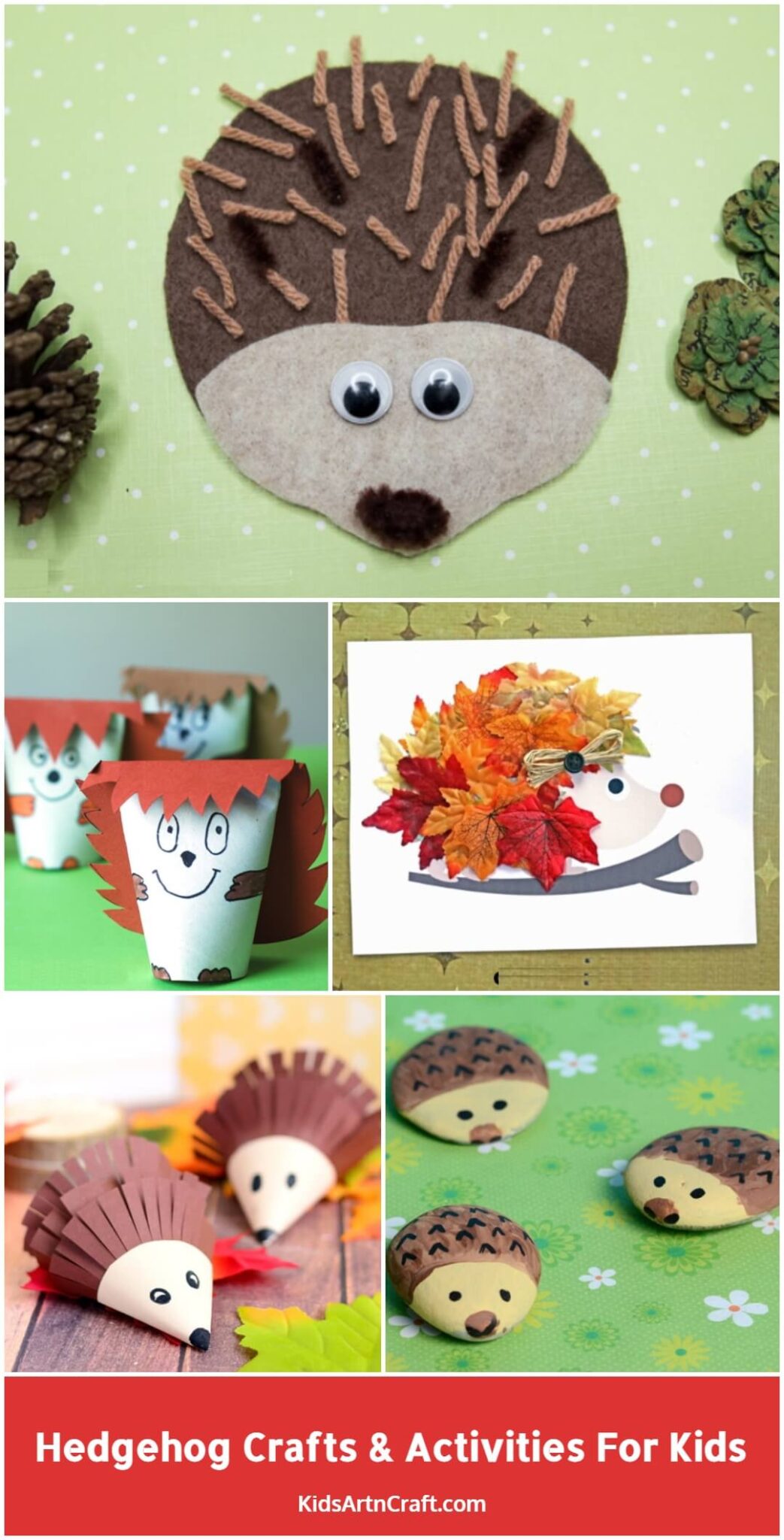 Hedgehog Crafts & Activities for Kids - Kids Art & Craft