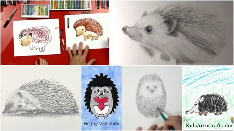 Hedgehog Drawing & Sketches for Kids - Kids Art & Craft