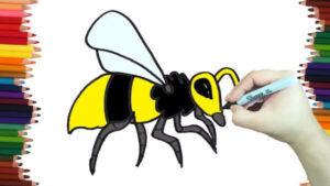Wasp Drawing & Sketches For Kids - Kids Art & Craft