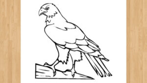 Hawk Drawing & Sketches For Kids - Kids Art & Craft