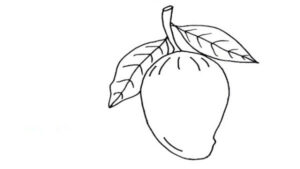 Mango Drawing & Sketches for Kids - Kids Art & Craft