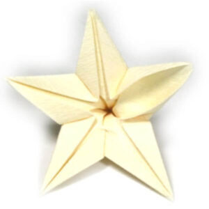 How To Make An Origami Jasmine With Kids - Kids Art & Craft