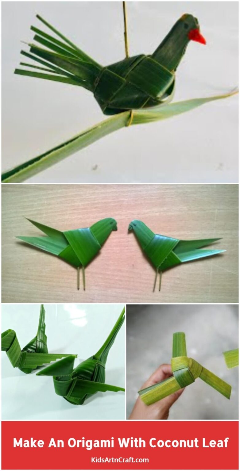 How To Make An Origami with Coconut Leaf - Kids Art & Craft