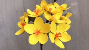 Apricot Crafts & Activities For Kids - Kids Art & Craft