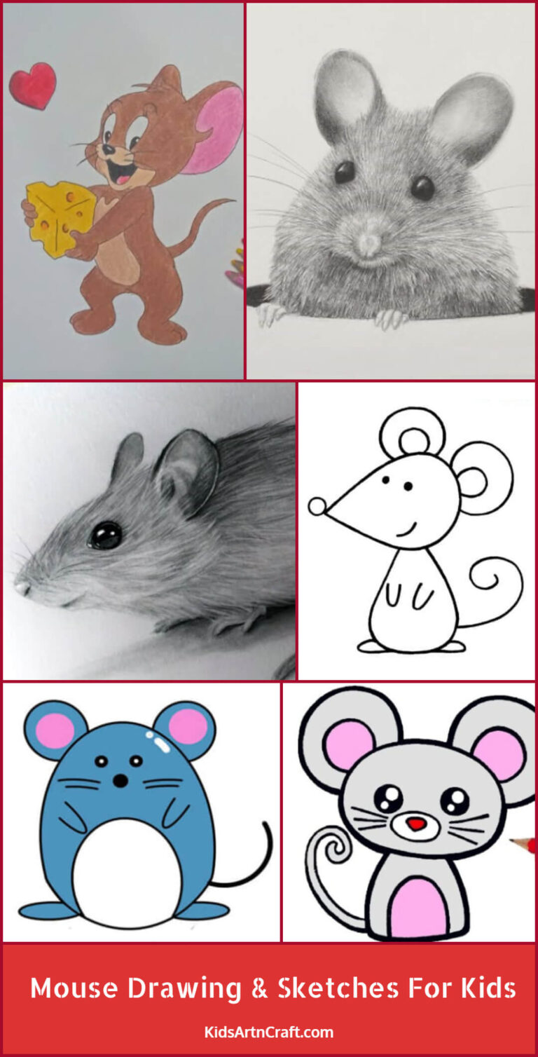 Mouse Drawing & Sketches For Kids - Kids Art & Craft