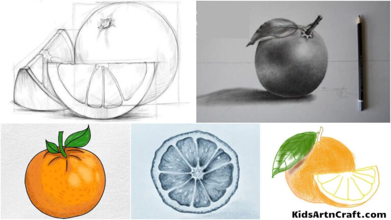 Orange Drawing & Sketches for Kids - Kids Art & Craft
