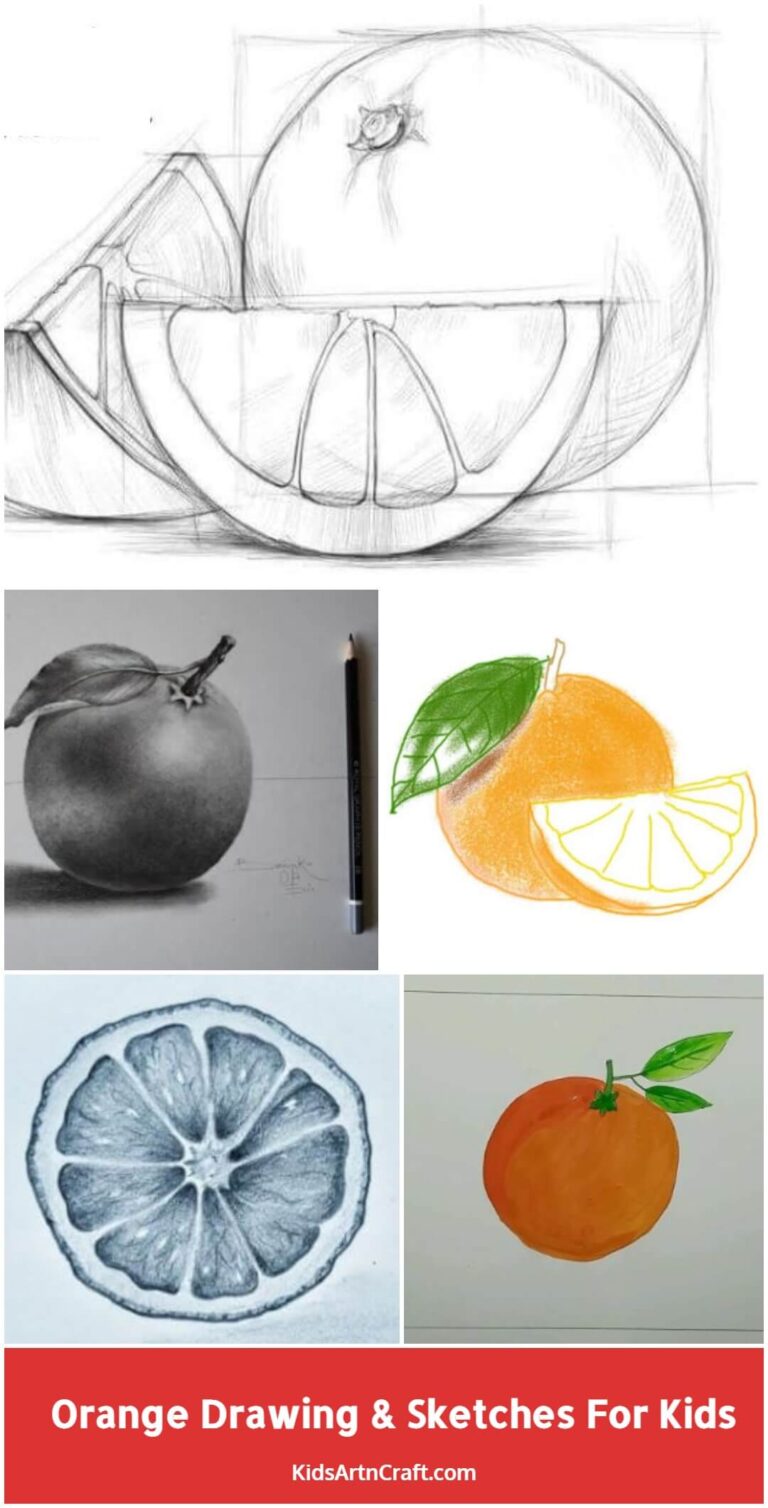 Orange Drawing & Sketches for Kids - Kids Art & Craft