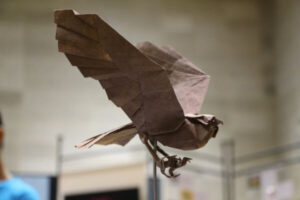 How To Make An Origami Hawk With Kids - Kids Art & Craft