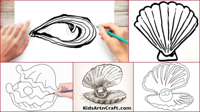 Oyster Drawing & Sketches For Kids - Kids Art & Craft
