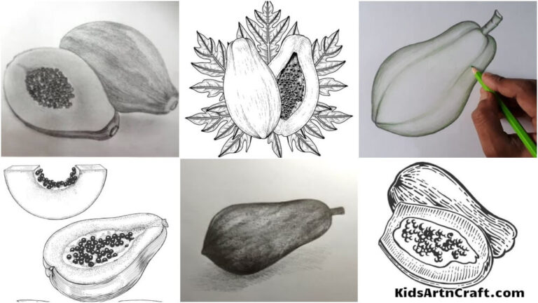 Papaya Drawing & Sketches for Kids - Kids Art & Craft