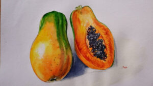Papaya Paintings for Kids - Kids Art & Craft