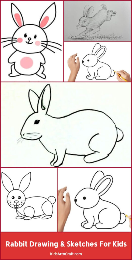 Rabbit Drawing & Sketches for Kids - Kids Art & Craft