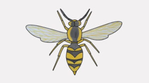 Wasp Drawing & Sketches For Kids - Kids Art & Craft