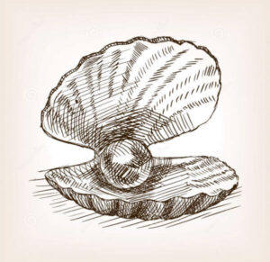 Oyster Drawing & Sketches For Kids - Kids Art & Craft