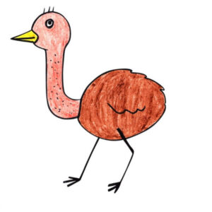 Emu Drawing & Sketch For Kids - Kids Art & Craft