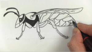 Wasp Drawing & Sketches For Kids - Kids Art & Craft