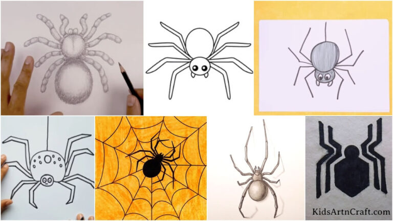 Spider Drawing & Sketches for Kids - Kids Art & Craft