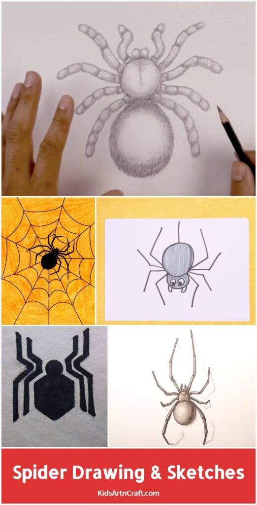 Spider Drawing & Sketches for Kids - Kids Art & Craft