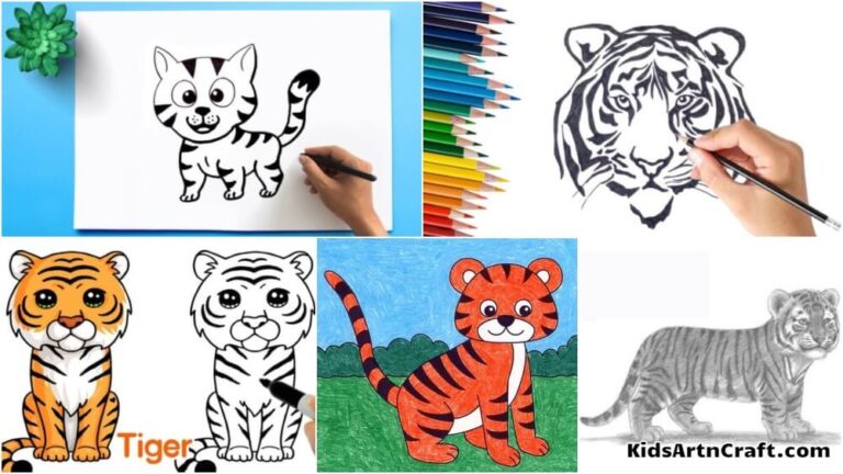 Tiger Drawing & Sketches for Kids - Kids Art & Craft