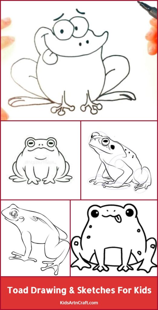 Toad Drawing & Sketches for Kids - Kids Art & Craft