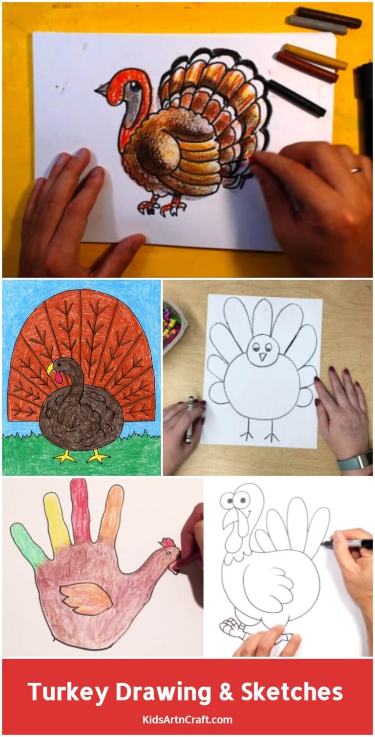 Turkey Drawing and Sketches for Kids - Kids Art & Craft
