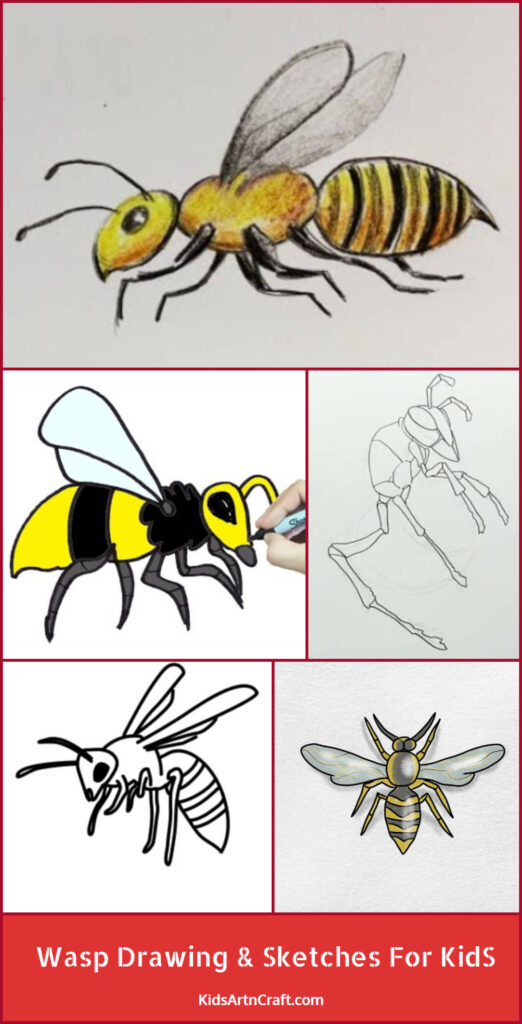 Wasp Drawing & Sketches For Kids - Kids Art & Craft