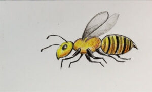 Wasp Drawing & Sketches For Kids - Kids Art & Craft