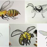 wasp Archives - Kids Art & Craft