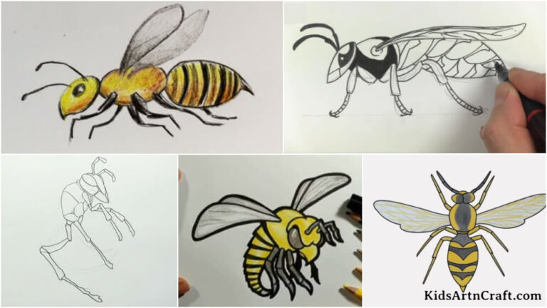 Wasp Drawing & Sketches For Kids - Kids Art & Craft