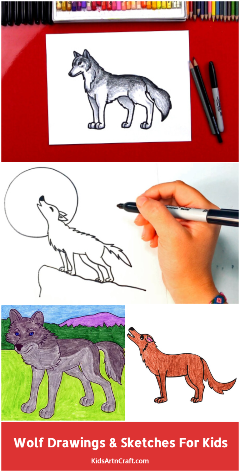 Wolf Drawings & Sketches For Kids - Kids Art & Craft
