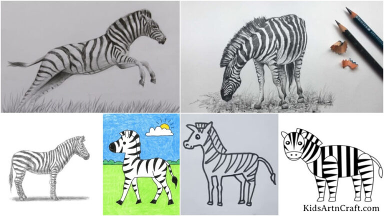 Zebra Drawing & Sketches For Kids - Kids Art & Craft
