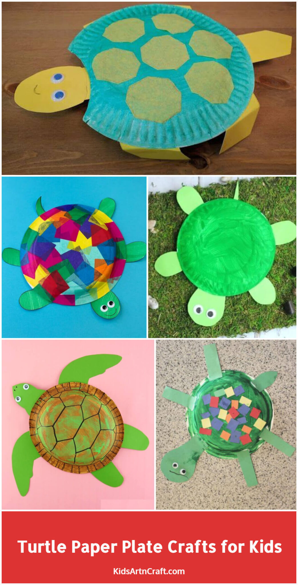 Turtle Paper Plate Crafts for Kids - Kids Art & Craft