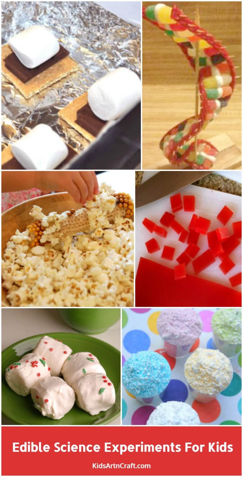 Easy Edible Science Experiments For Kids - Kids Art & Craft