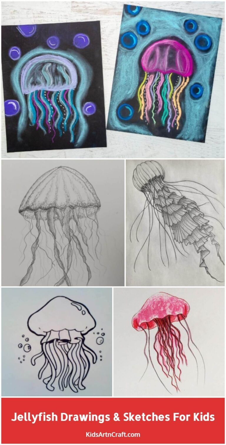 Jellyfish Drawings & Sketches For Kids - Kids Art & Craft