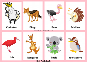 Australian Animals Flashcards – Free Printables - Kids Art & Craft