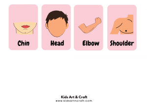 Human Body Flashcards for Kids - Free Printable - Kids Art & Craft
