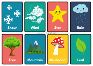 Nature Flashcards For Kids- Free Printable - Kids Art & Craft