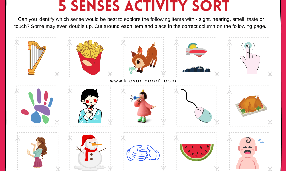 Sense Activity Sorting Activities for Kids – Free Worksheets - Kids Art ...