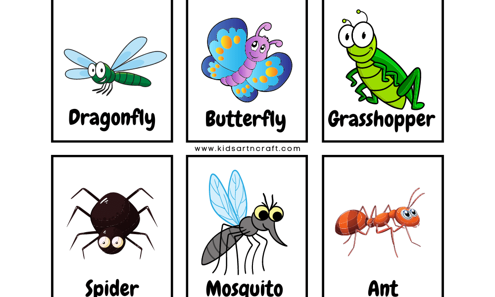 Small Animal Flashcards For Kindergarten – Free Printable - Kids Art ...