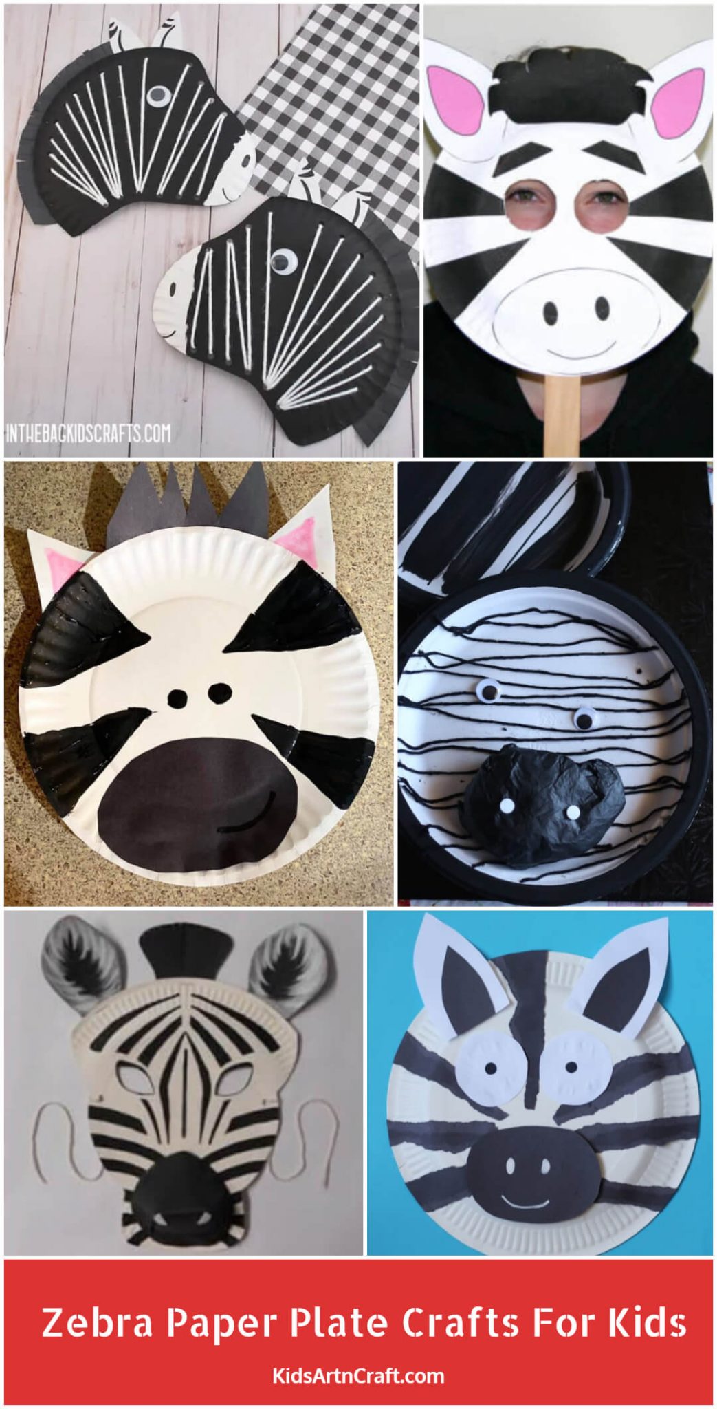 Zebra Paper Plate Crafts for Kids - Kids Art & Craft
