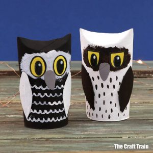 Toilet Paper Roll Owl Crafts for Kids - Kids Art & Craft