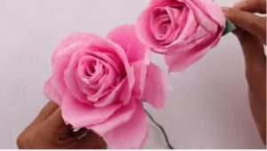 Tissue Paper Rose Craft Ideas - Kids Art & Craft