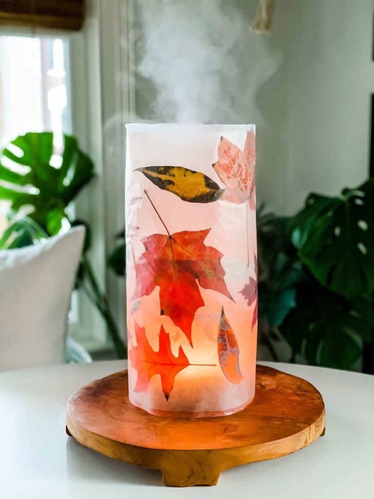 Wax Paper Crafts With Leaves - DIY Ideas - Kids Art & Craft