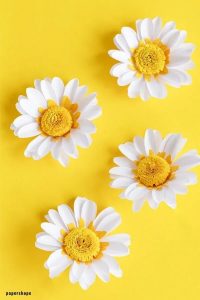 Paper Crafts for Elders to Make with Kids - Kids Art & Craft