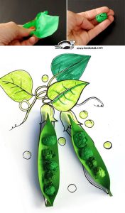 Easy And Simple Pea Craft Ideas For Kids - Kids Art & Craft