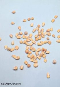 How To Make Flower Craft With Corn Seeds – Step By Step Tutorial - Kids ...