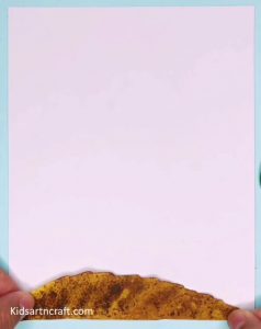 Recycled Turtle Craft With Sun Using Leaves - Kids Art & Craft