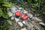 DIY Ladybugs Painted Rocks For Kids - Kids Art & Craft